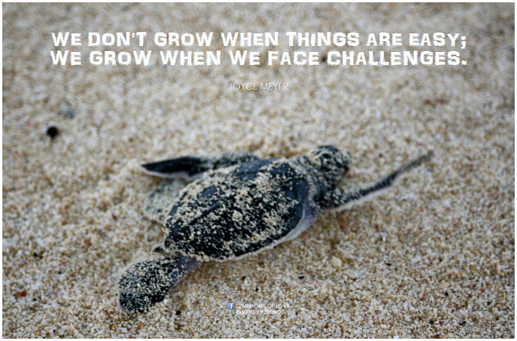 Authentic Relationships – Do You Have a Genuine Connection? - Harley ...